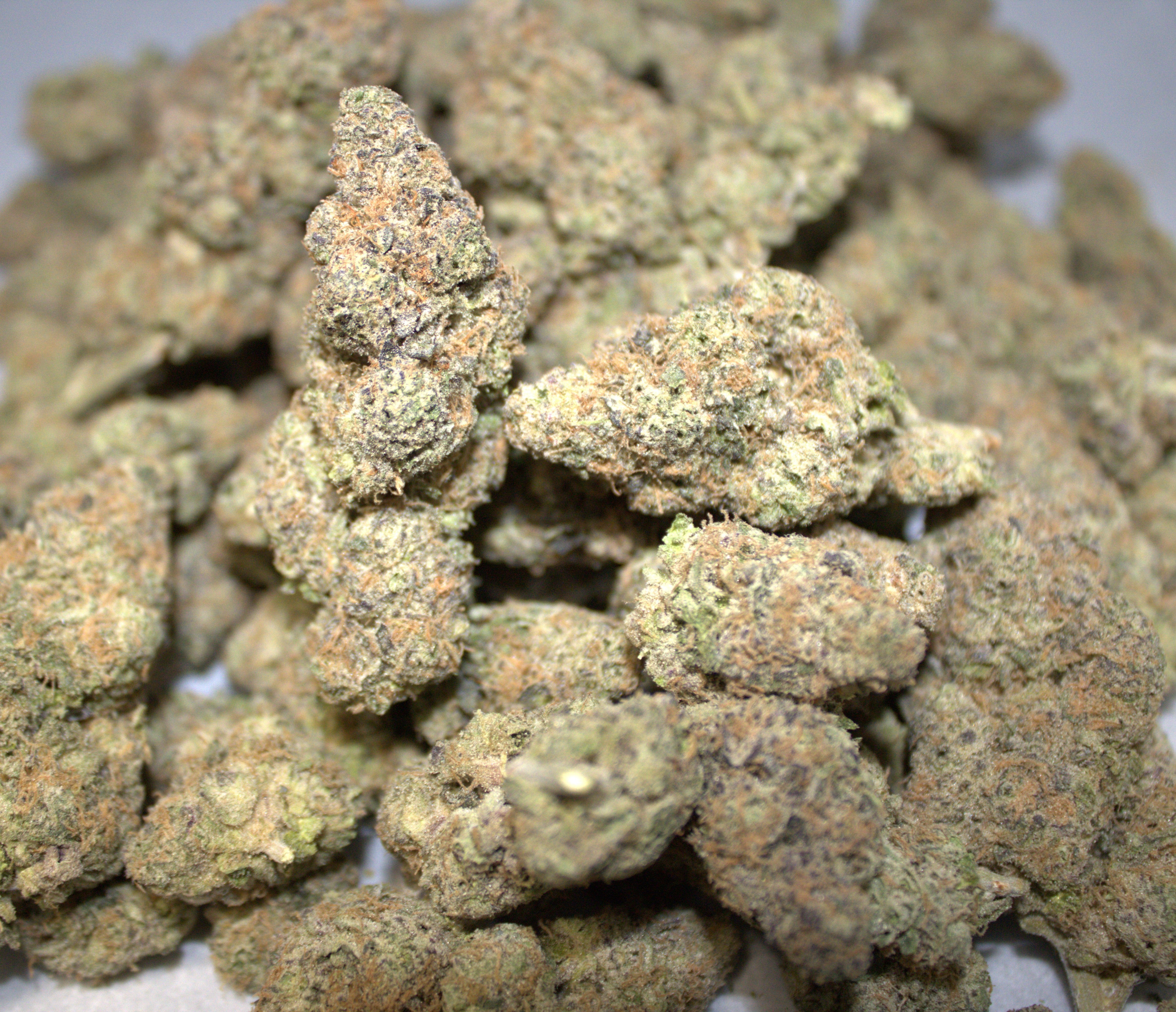 THCA Pablo's Pineapple (IH) - Flower - Hemp House – Madden Enterprise